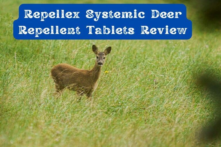 Repellex Systemic Deer Repellent Tablets Review: A Unique Way to Repel ...